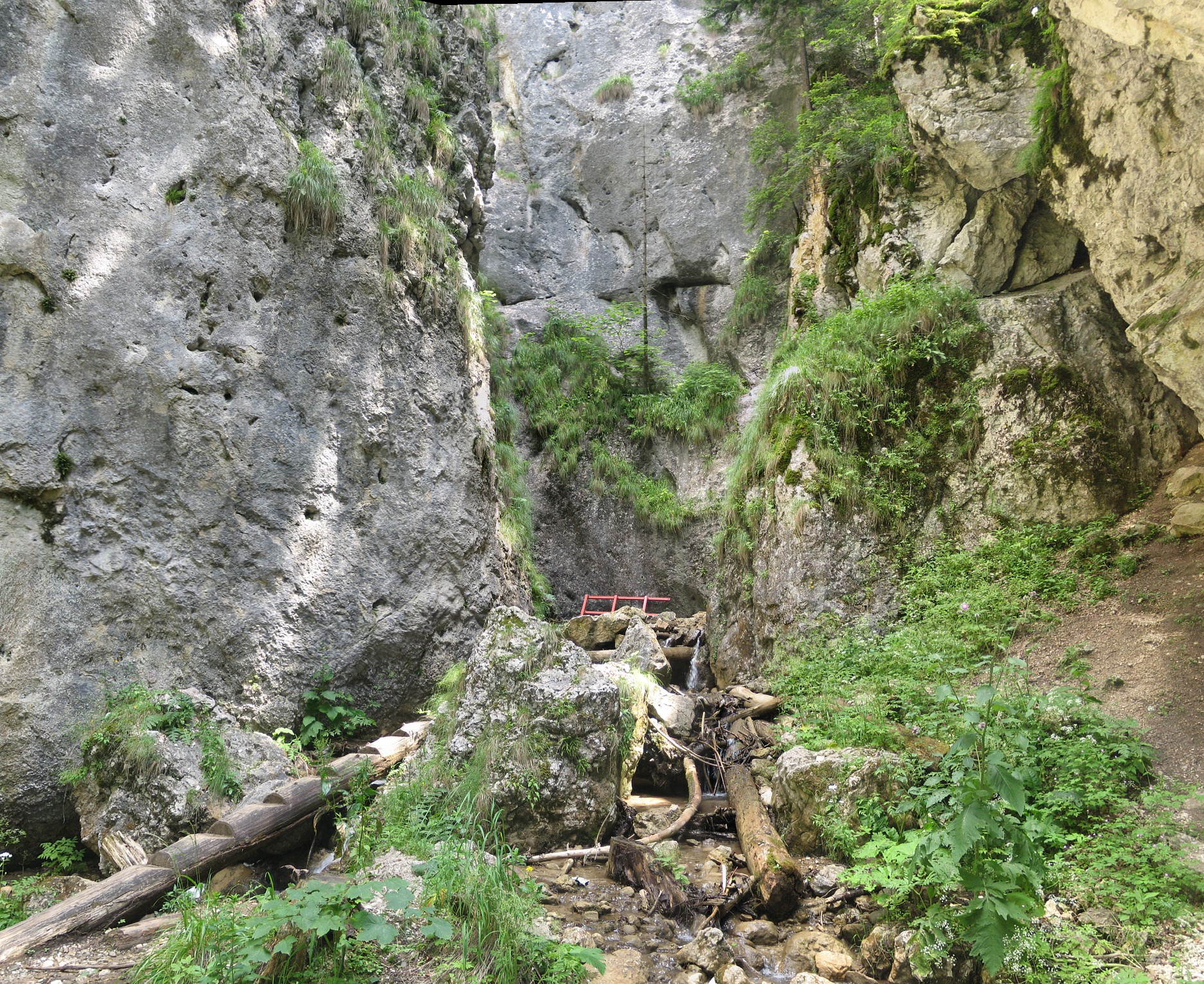 Cascada TAMINA va fi reabilitata - Saceleanul