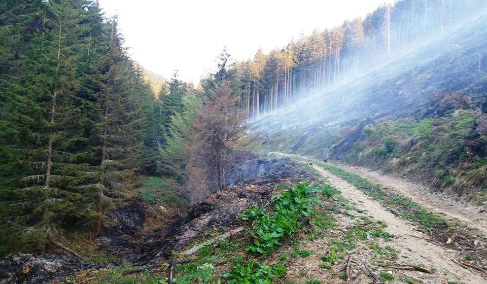 Incă un incendiu! De această dată de pădure! - Saceleanul