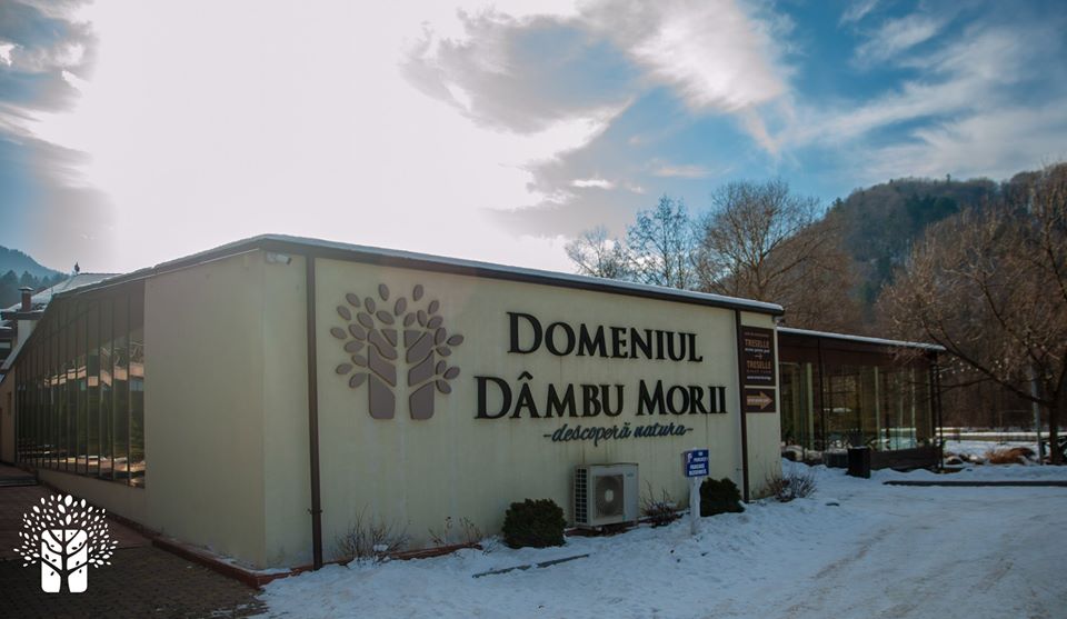 Eveniment special de Ziua Femeii la Domeniul Dâmbu Morii - Saceleanul